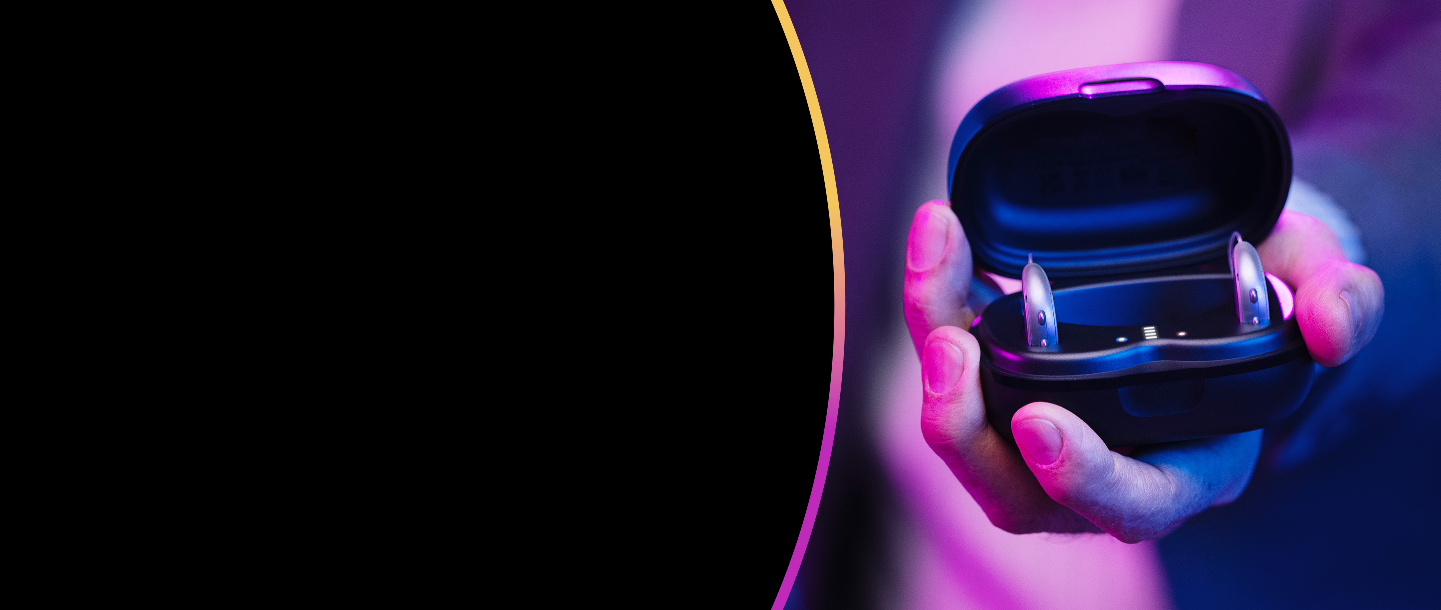 Government Services | StarkeyPro - Gov